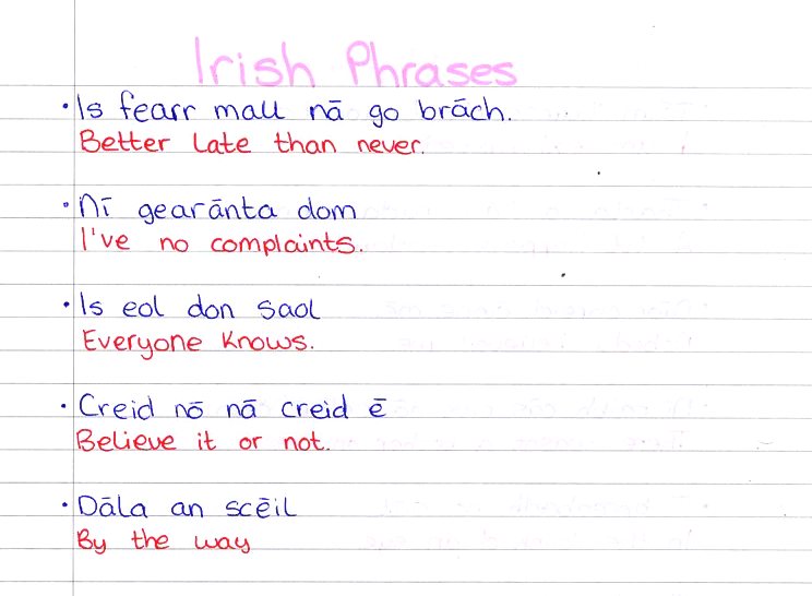 Study Notes By Kaz: Irish Vocab & Paper 1: OL