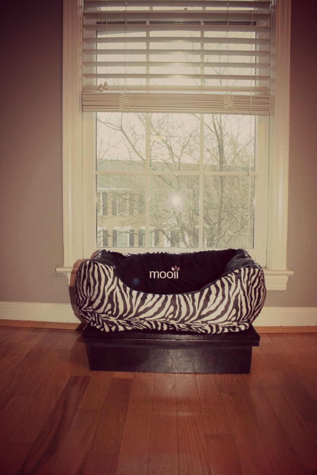 Pictures & Pawprints: Doggie Window Seat