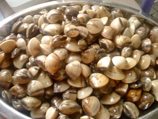 ~ MY SWEET RECIPE ~: KEPAH GORENG PEDAS