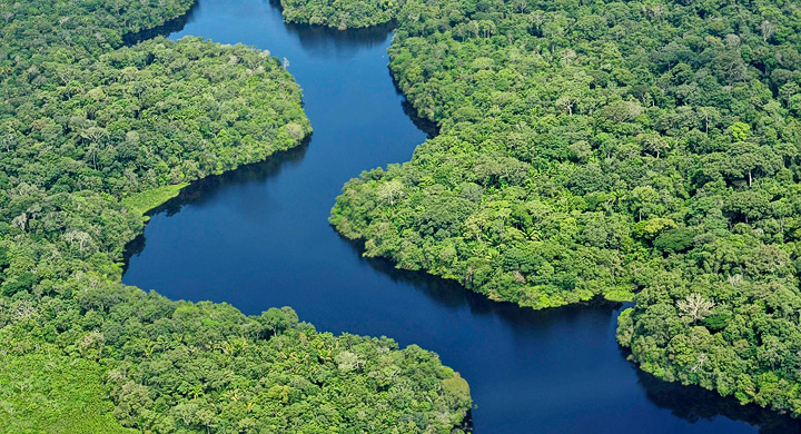 Aclarando: Zonas templadas, zonas tropicales.