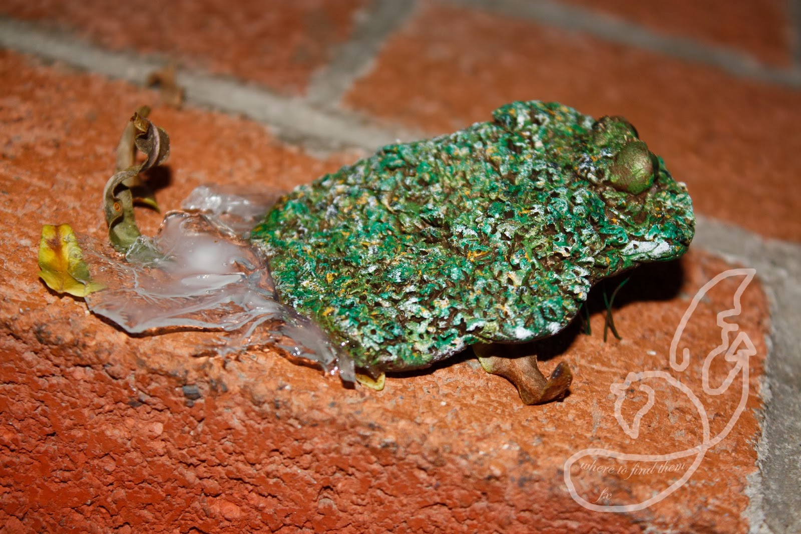 Where To Find Them FX