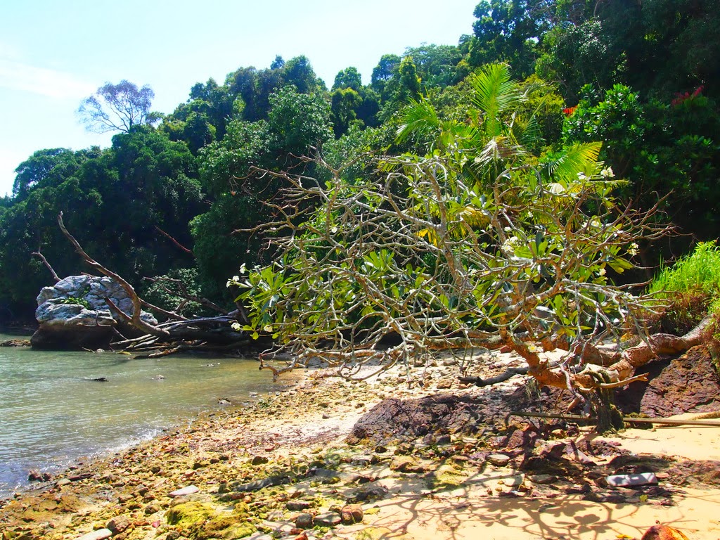 Travelholic: Things To Do in Cape Rachado/Tanjung Tuan, Port Dickson (PD)