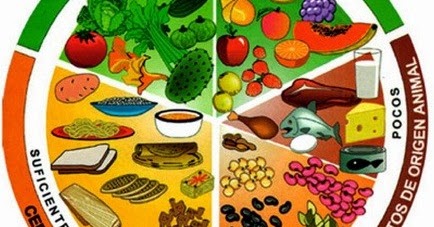 Científicos radioactivos: ¿CUÁLES SON LOS BIOELEMENTOS QUE DEBEMOS ...