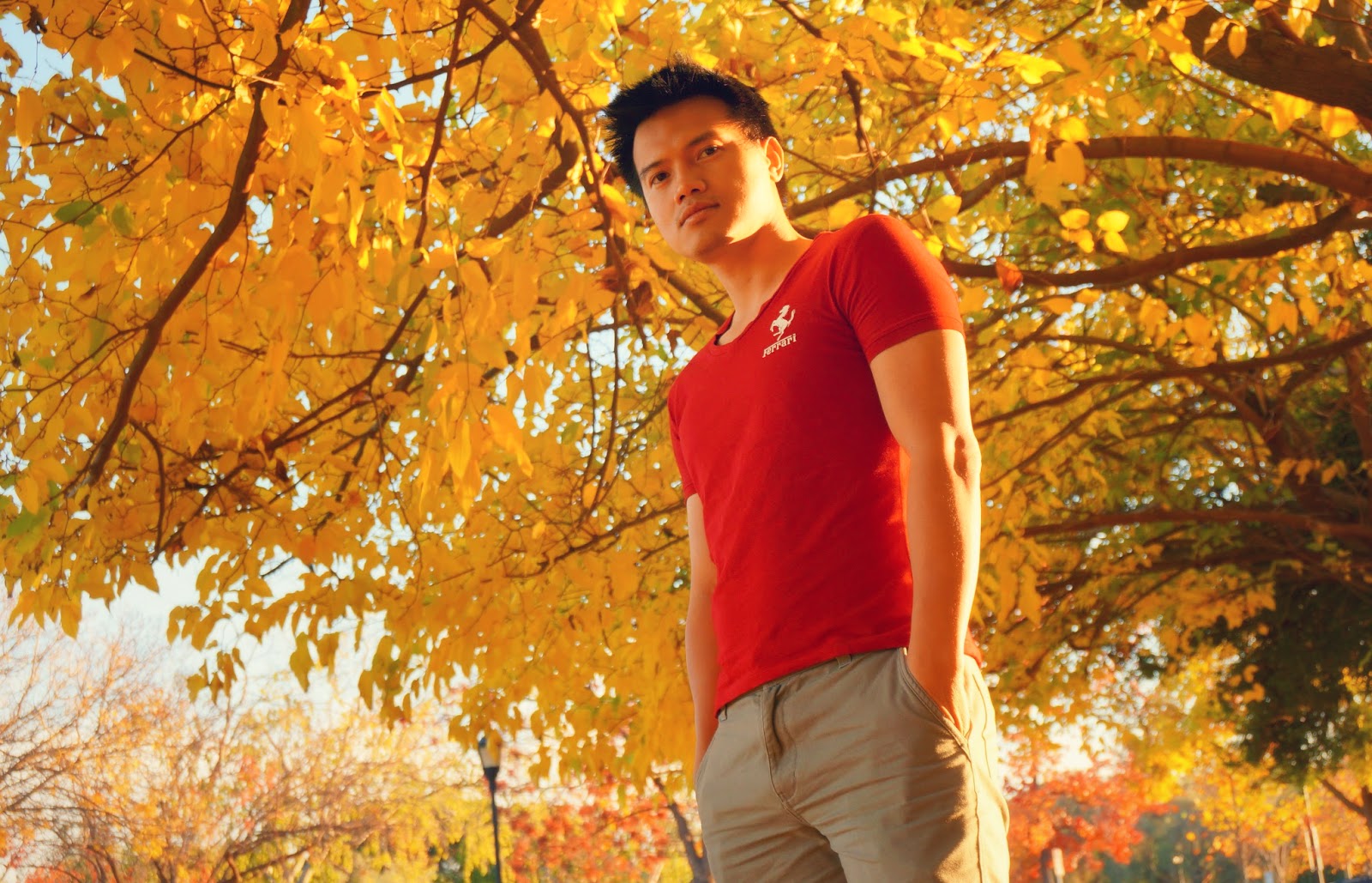 Khoa Thy 's Journal: Golden autumn - Mùa thu vàng