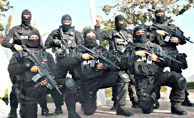 Gsg9 1/87 Unité spéciale: BNIR