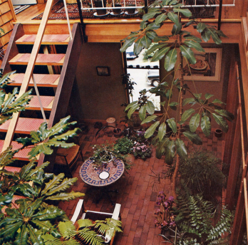 It's A Jungle In There: Invasion of the 1970s Houseplants - Go Retro!