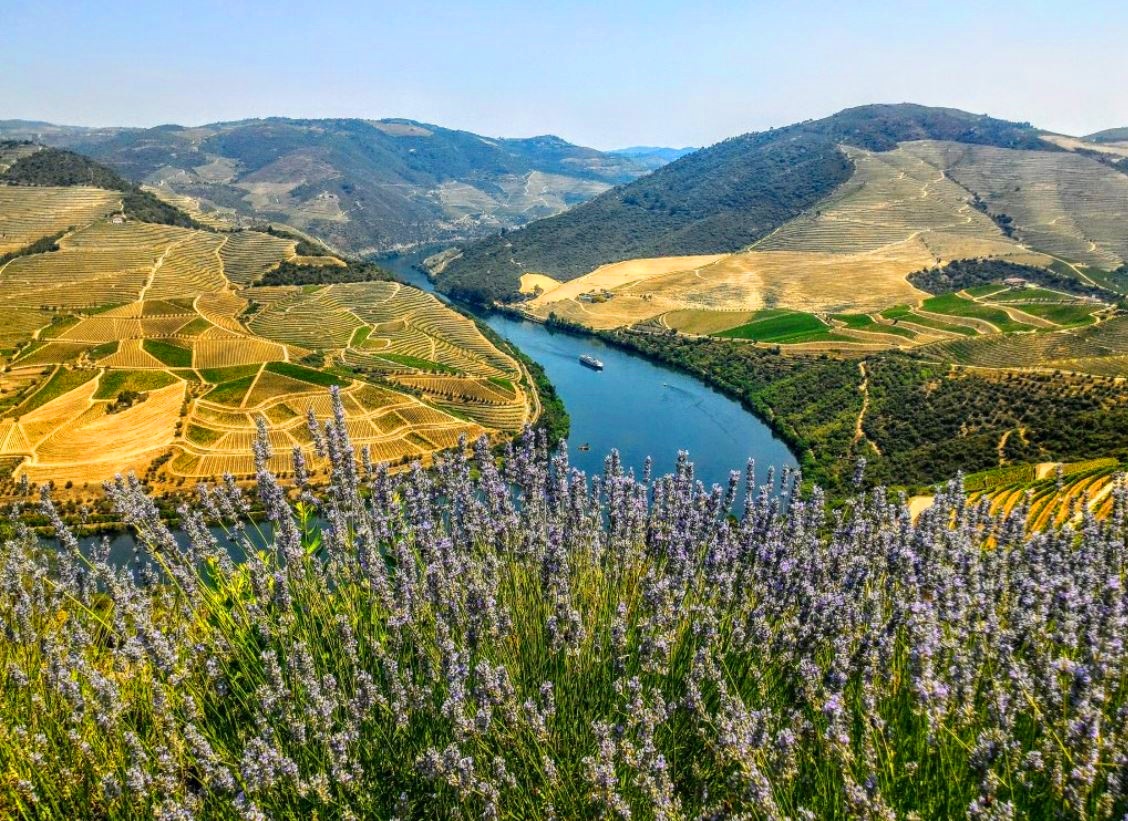 Portugal - Conheça o Mais Belo País da Europa : Pinhão (Alijó ...