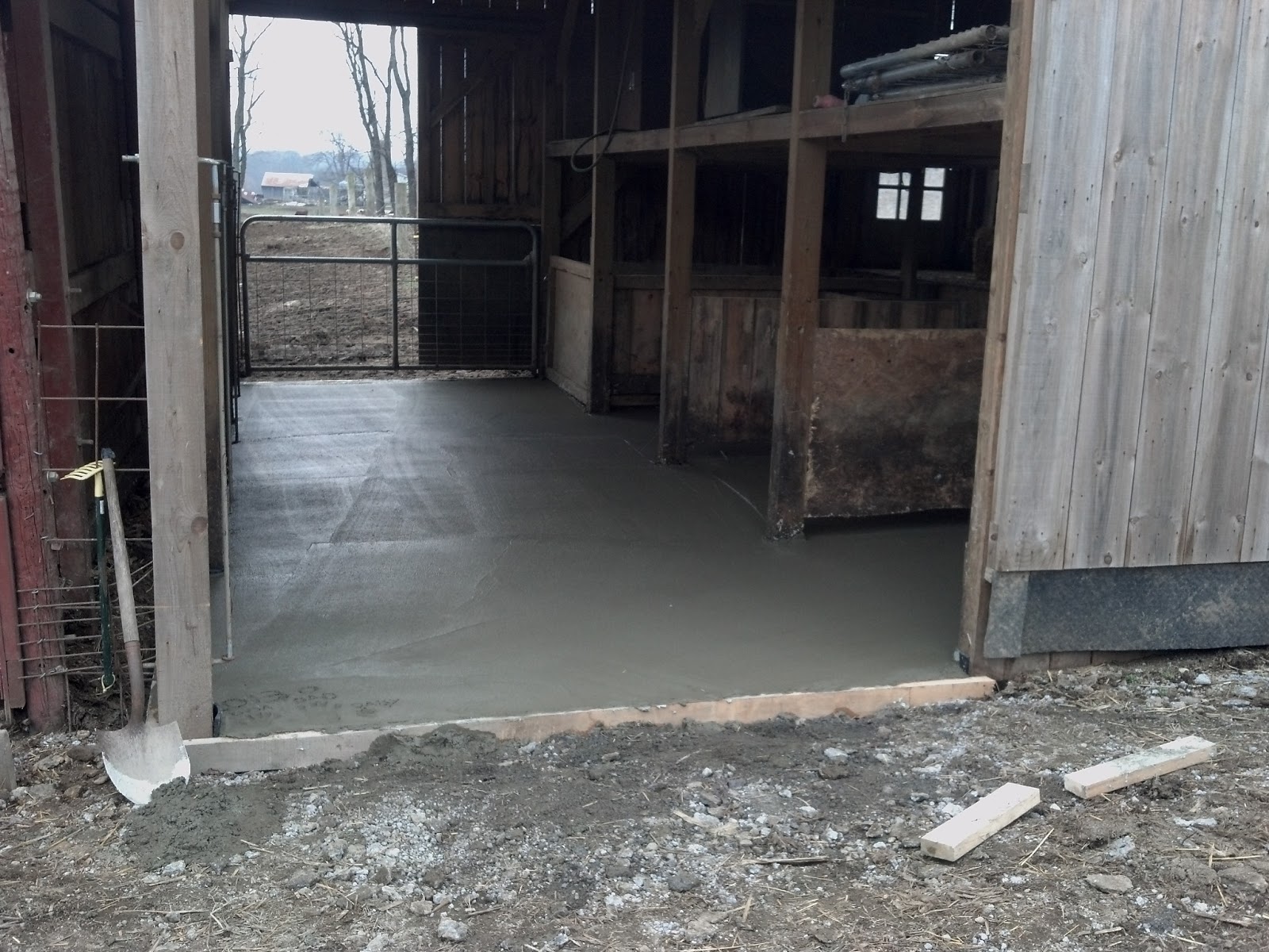Conser Run Report: Barn wall repair, concreting pig pens, legacy update!