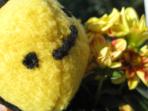 the cute octopus: Adventure Time Week: Cute Bee