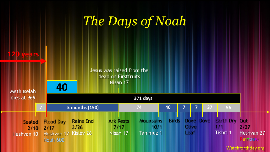 “As in the Days of Noah” - Daniel Matson