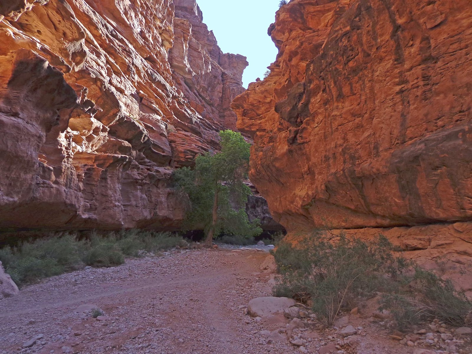 The Great Silence: The Silence of Supai (Arizona Series)
