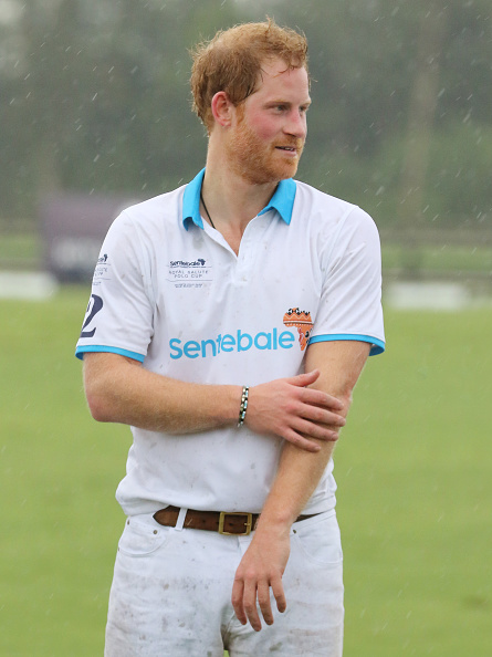 Royal Family Around the World: Sentebale Royal Salute Polo Cup In Palm ...