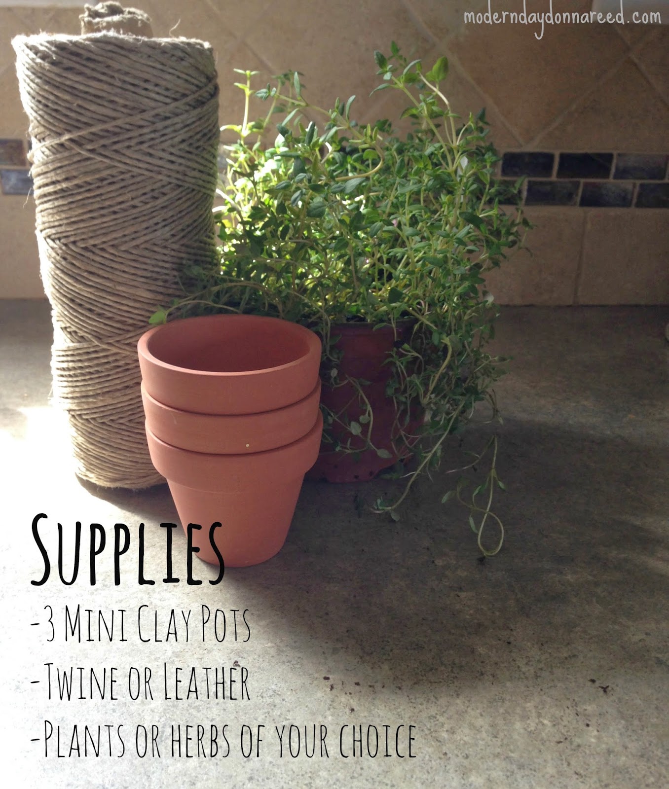 Mini Clay Pot Hanging Planters | Confessions of a Stay-At-Home Mom