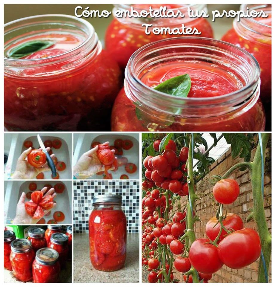 La Gaveta de Aguere: Cómo embotellar tus propios tomates