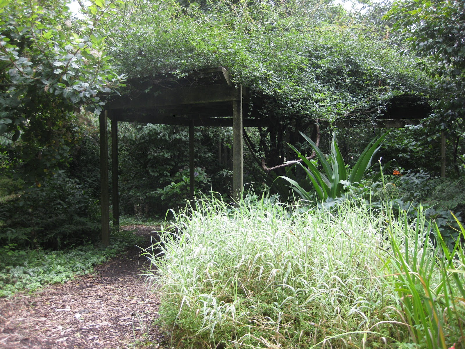 digging up the dirt: Lilian Fraser Garden