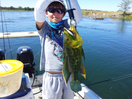 Namibia Sport Fishing : Okavango Tiger Fishing: 27+28 April 2013