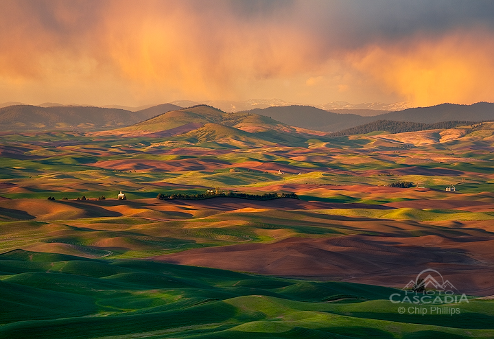 :: Alexandra Proaño 3D - Green Pear Diaries ::: Chip Phillips, la ...