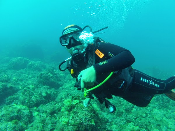 Best Spot Azores PADI 5* Dive Center: Underwater Azores Scuba Diving Buceo