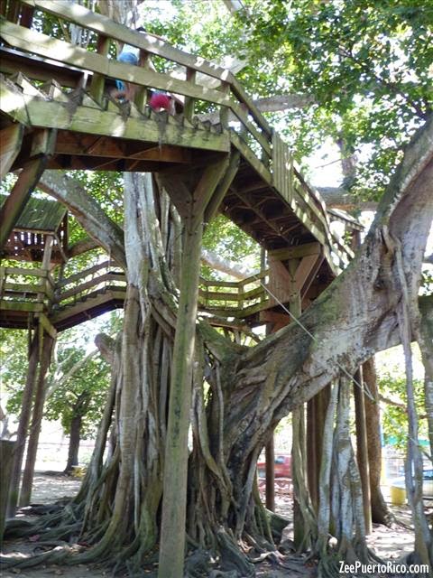 Puerto Rico, Isla Bella !!!: Parque Colón {Aguadilla}