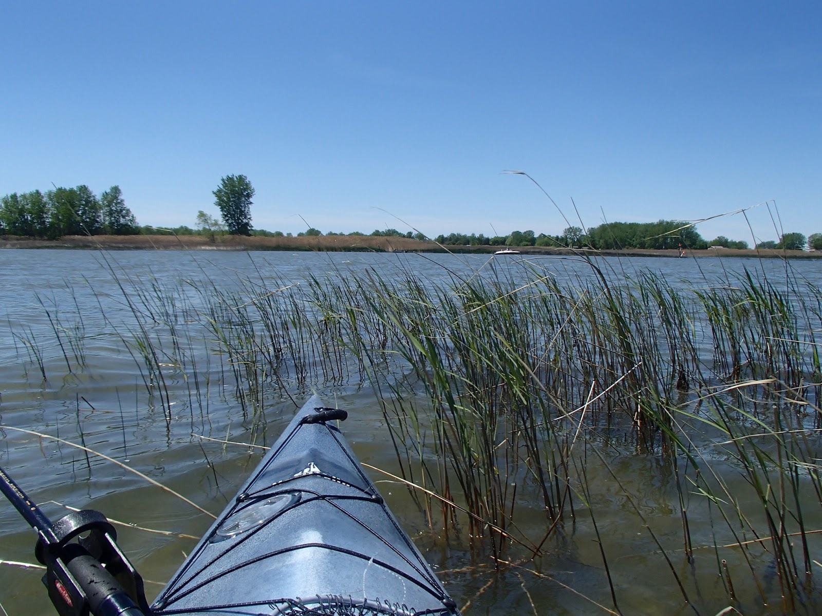 kayaker67adventures: Long Point Provincial Park Kayaking