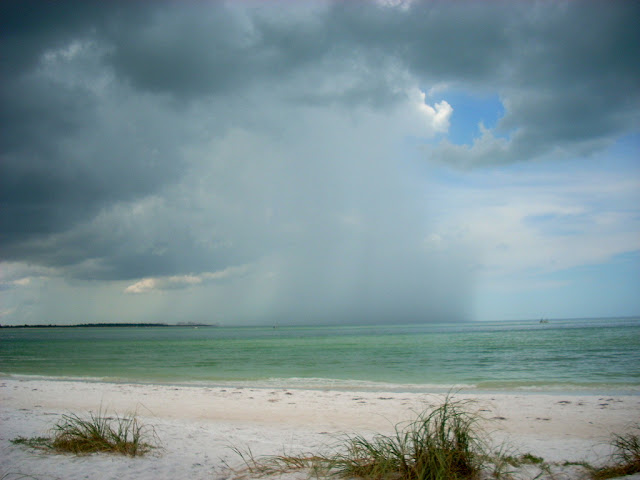 Visual Diary of a Beachaholic: 2013