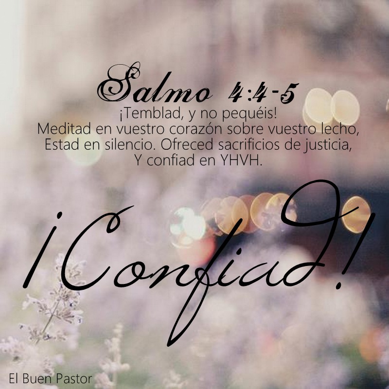 YO SOY EL BUEN PASTOR: Salmo 4:4-5