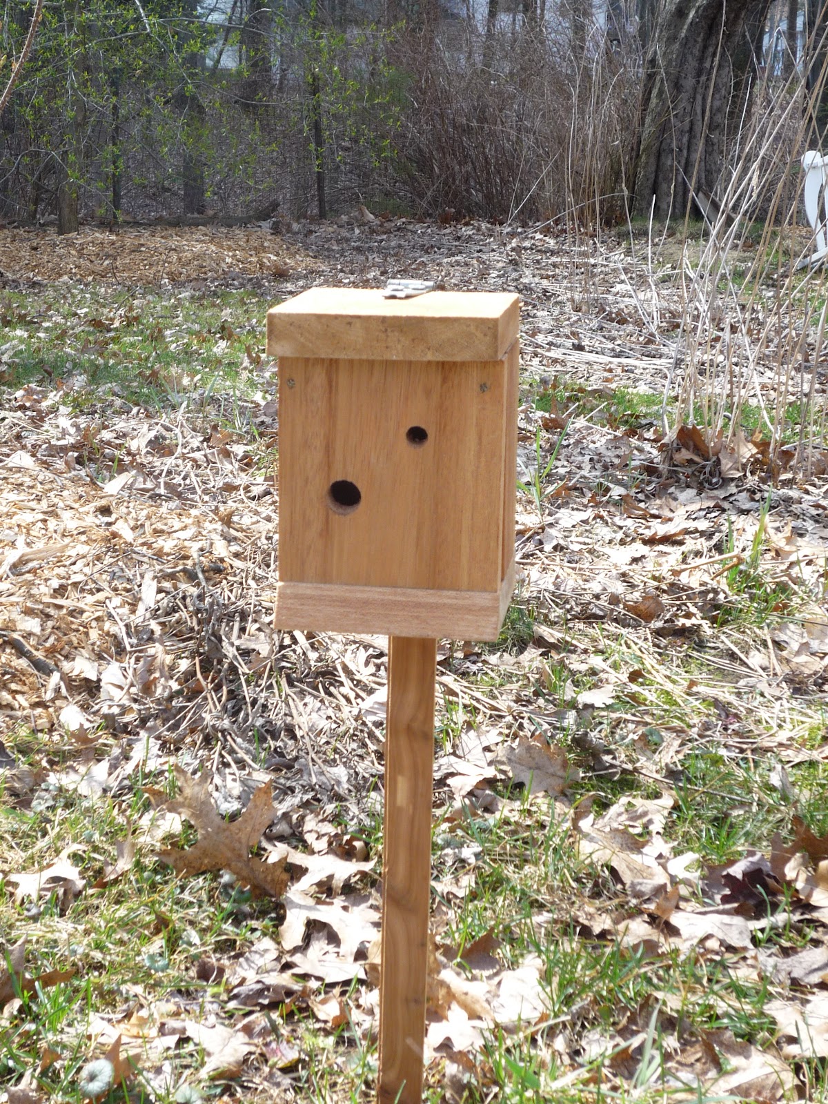Bird house vacancies. South Burlington, VT-Bird nest box | South ...