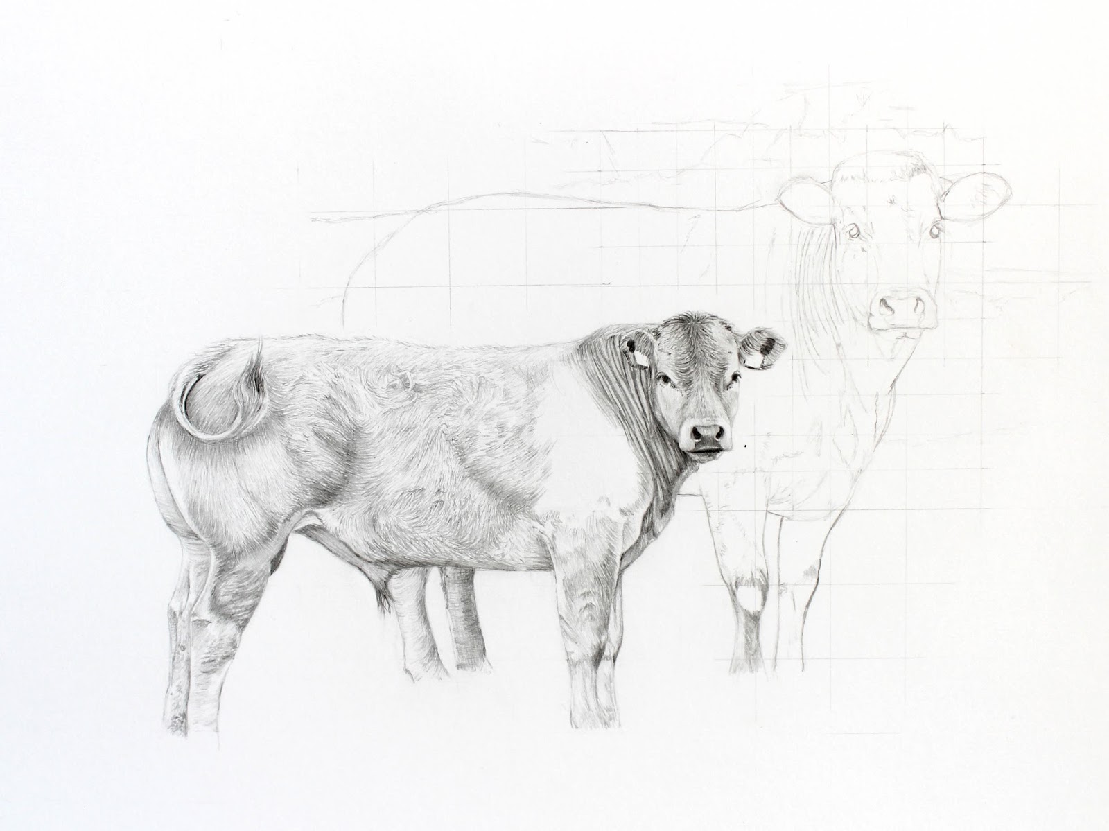 Stacey Moore Art Blog: New cow and calf drawing