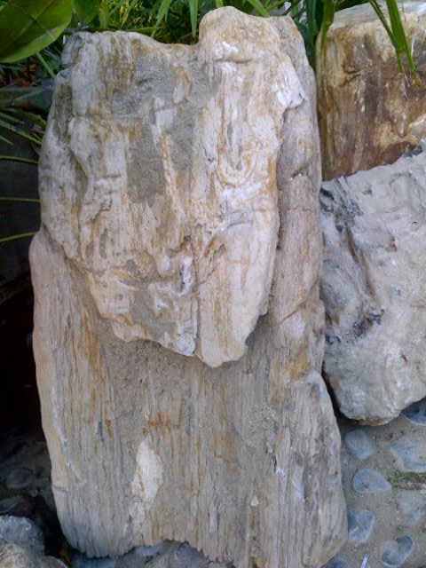 Museum Fosil Kayu Indonesia: RED FOSIL