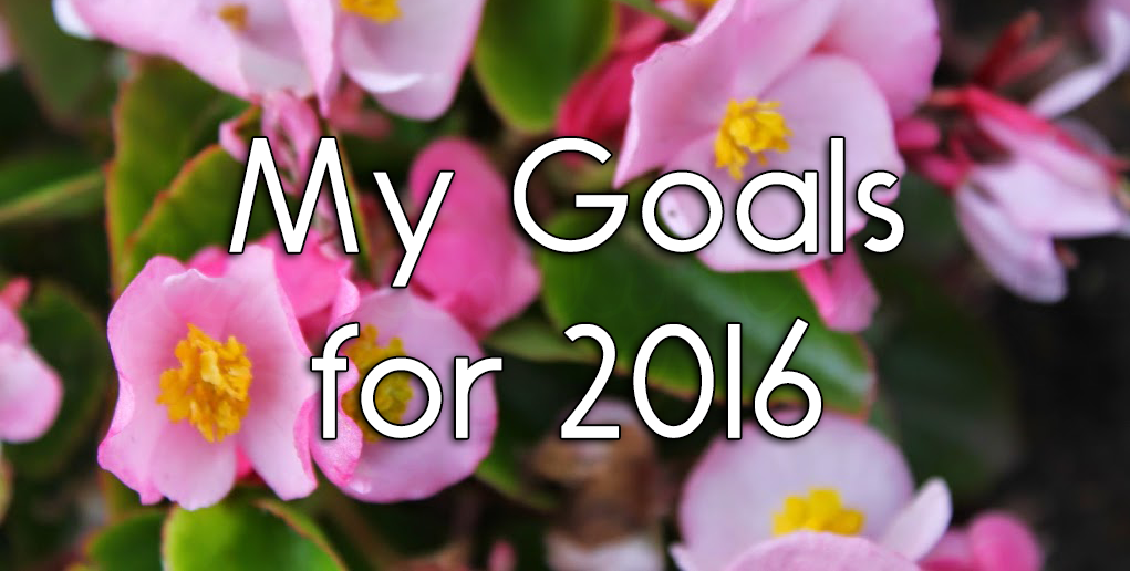 My Goals for 2016 - Identically Unique