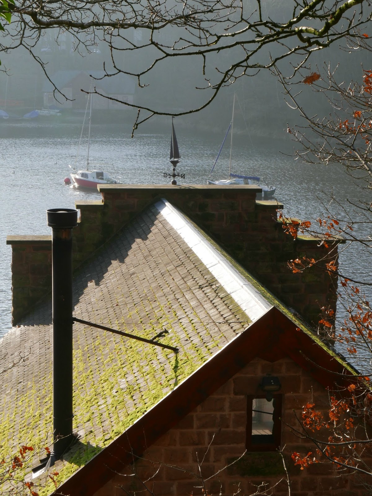Winter walk around Rudyard Lake
