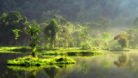 Situ Gunung Park | Survival
