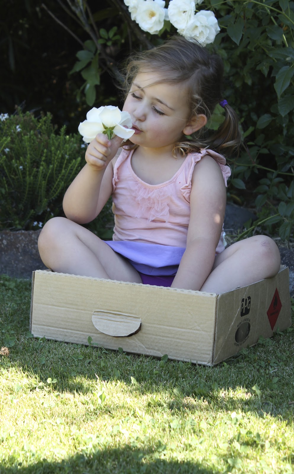 Moving Smart: WHAT CARDBOARD BOXES CAN TEACH KIDS