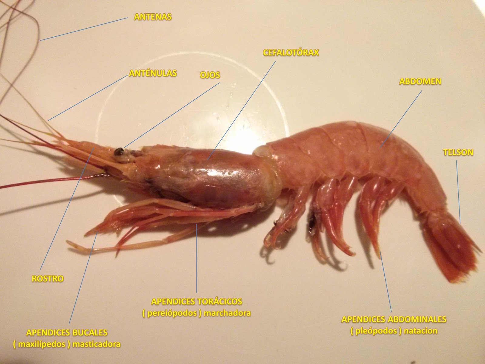 Biología y Geología : Galería fotos Laboratorio de Física y Biología