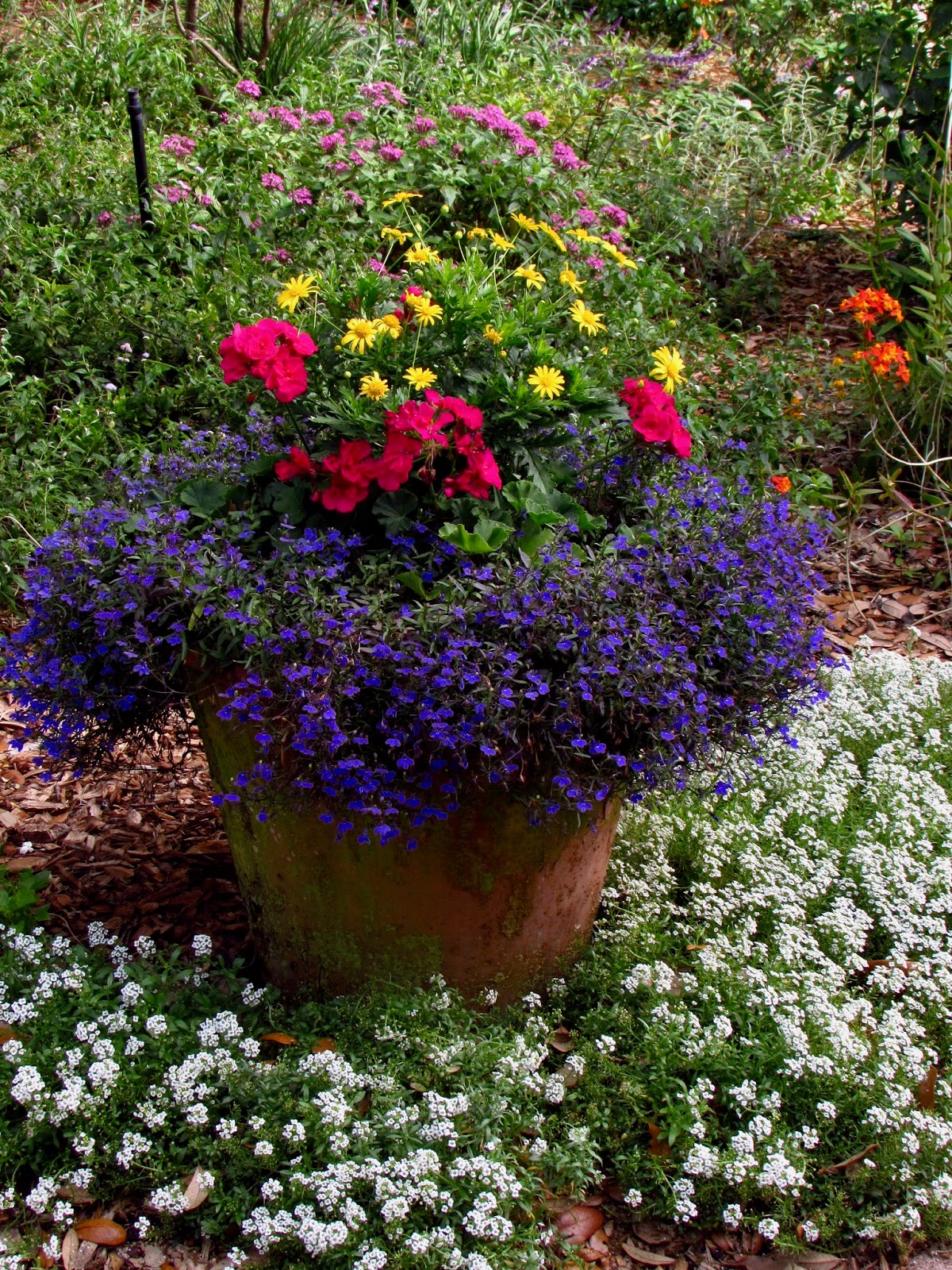 Life In Robin's Nest: Marching into Spring