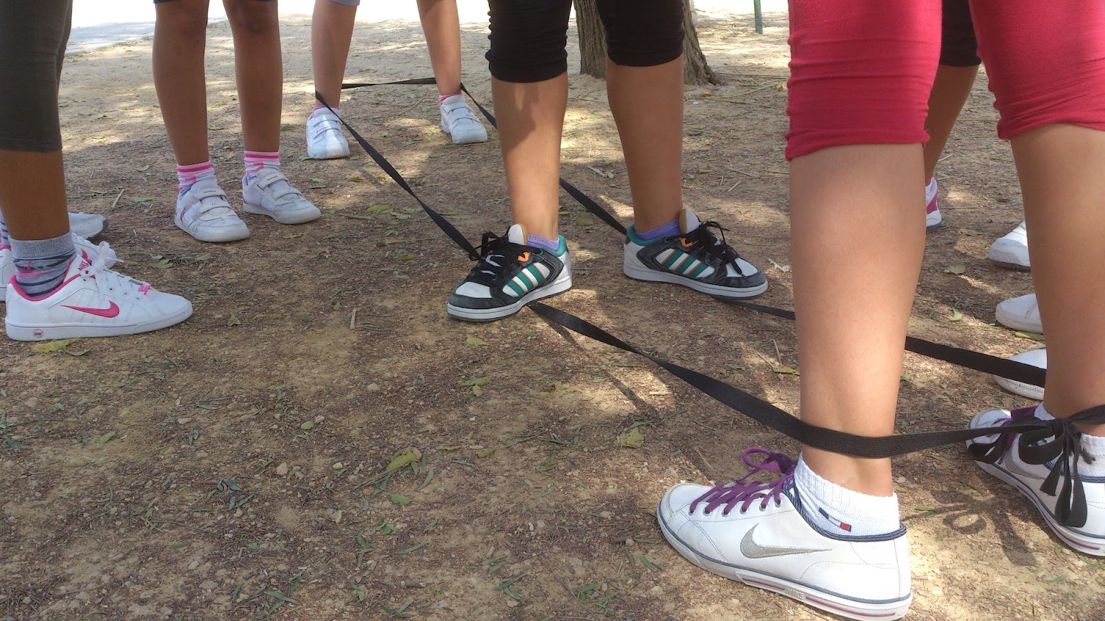 Cosas Imprescindibles con Sweet: El Elástico