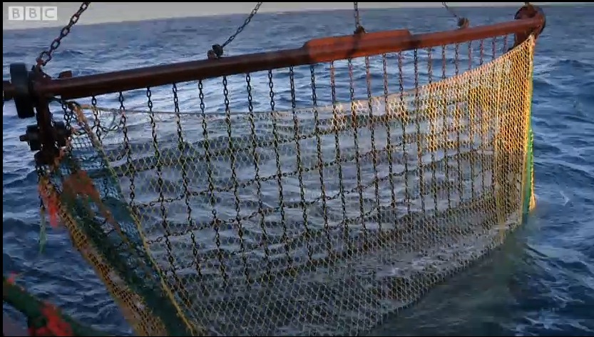 Through the Gaps! - Newlyn Fishing News: Huge industrial scale ...