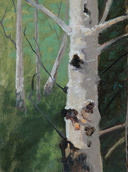 Susan Fowler Fine Art: Original Aspen Tree Landscape Oil Painting ...