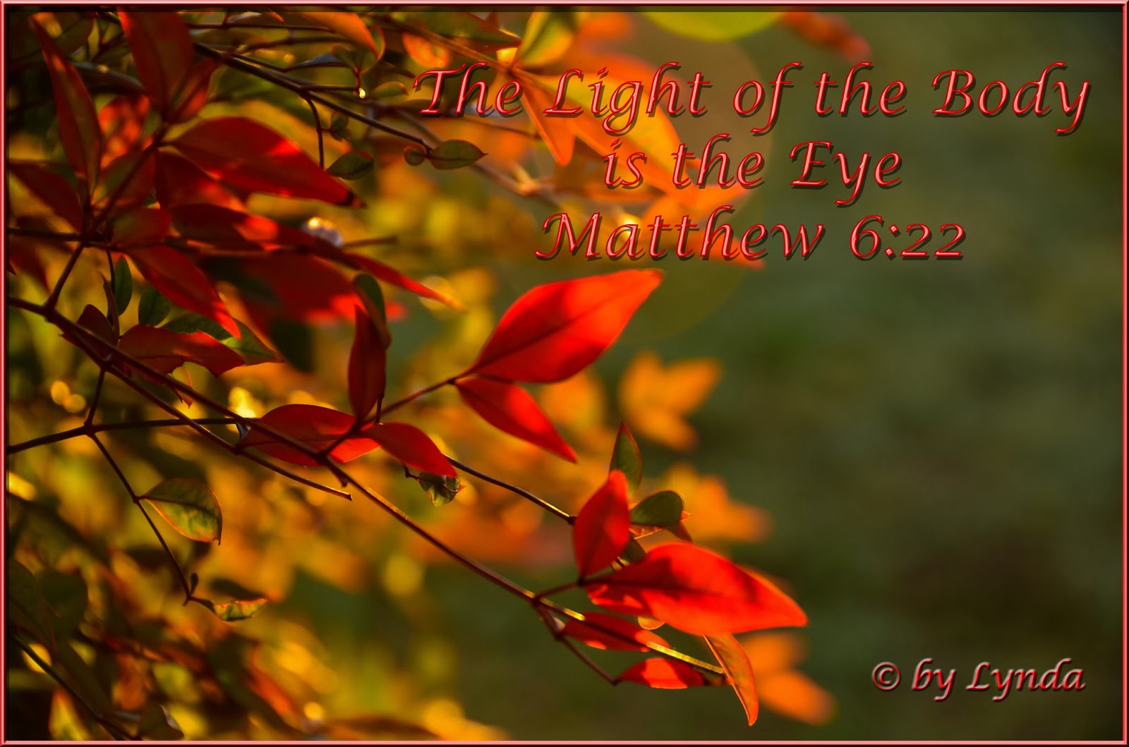 Lynda's Rocking Heart Ranch Images & Words