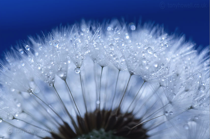 Kate Massey: Tony Howell - abstract photographer and Snibston talk