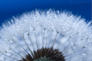 Kate Massey: Tony Howell - abstract photographer and Snibston talk