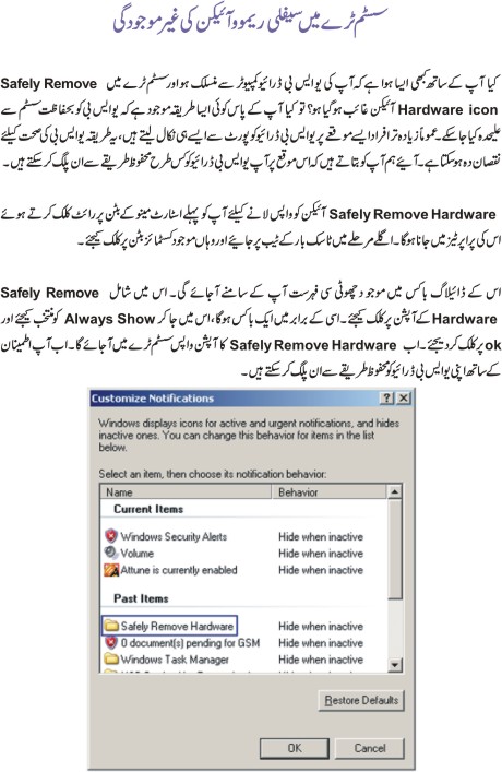Show Safely remove icon in systray ~ Online Training Software