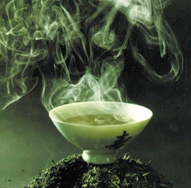 SALVIA DIVINORUM: http://traficanteonirico.blogspot.mx/view/classic