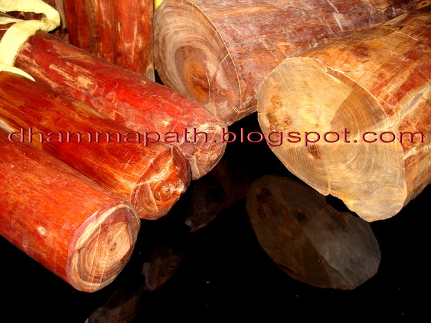 Dhamma Path Blog: Raja Kayu ~ The Magical King Of Wood Energy.