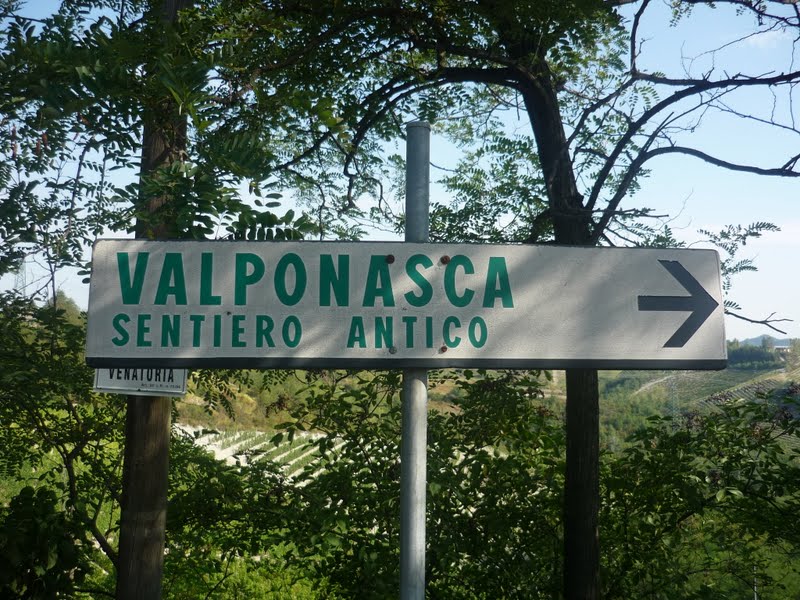 Blog Progetto Mornese: Experiencia de La Valponasca