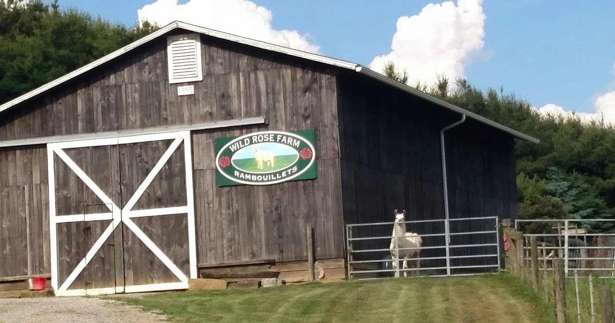 Wild Rose Farm: Routine Activities ...