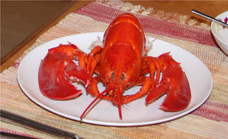 Wayfarin' Stranger: 2012