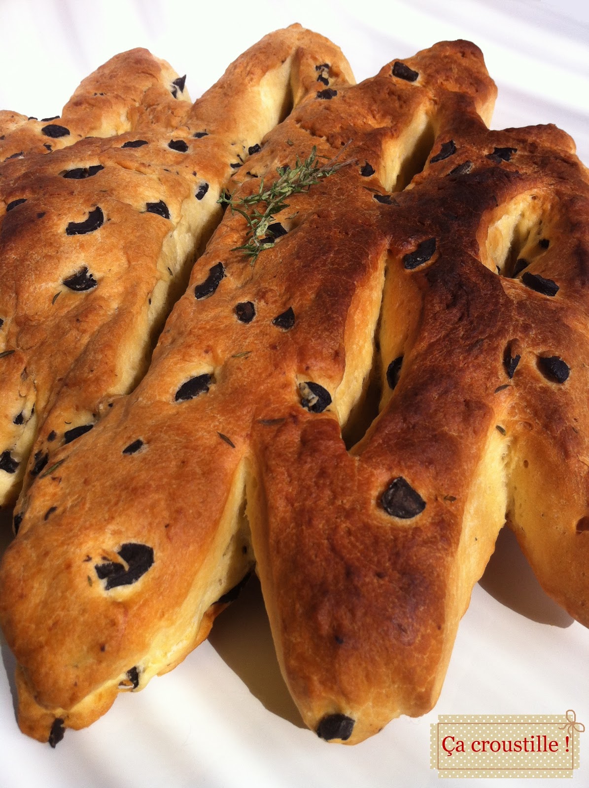 Ça croustille !: FOUGASSE AUX OLIVES NOIRES ET THYM