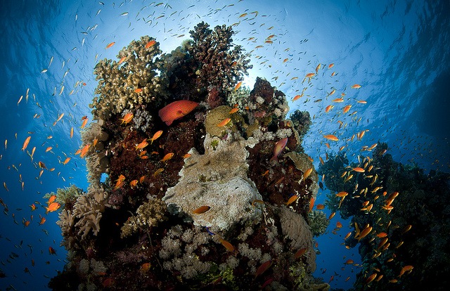 OddFuttos, When The Photos Speak: Art Photography: Incredible And ...