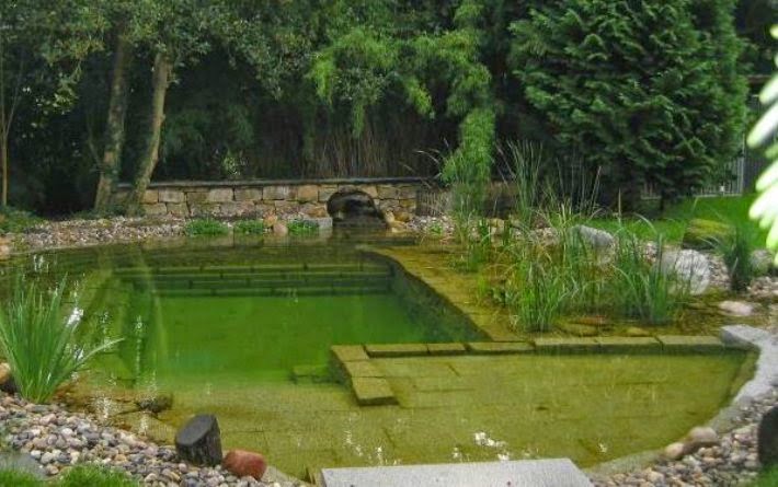 Natural Swimming Pools: Reflecting Pool vs Crystal Clear Pool Bottom